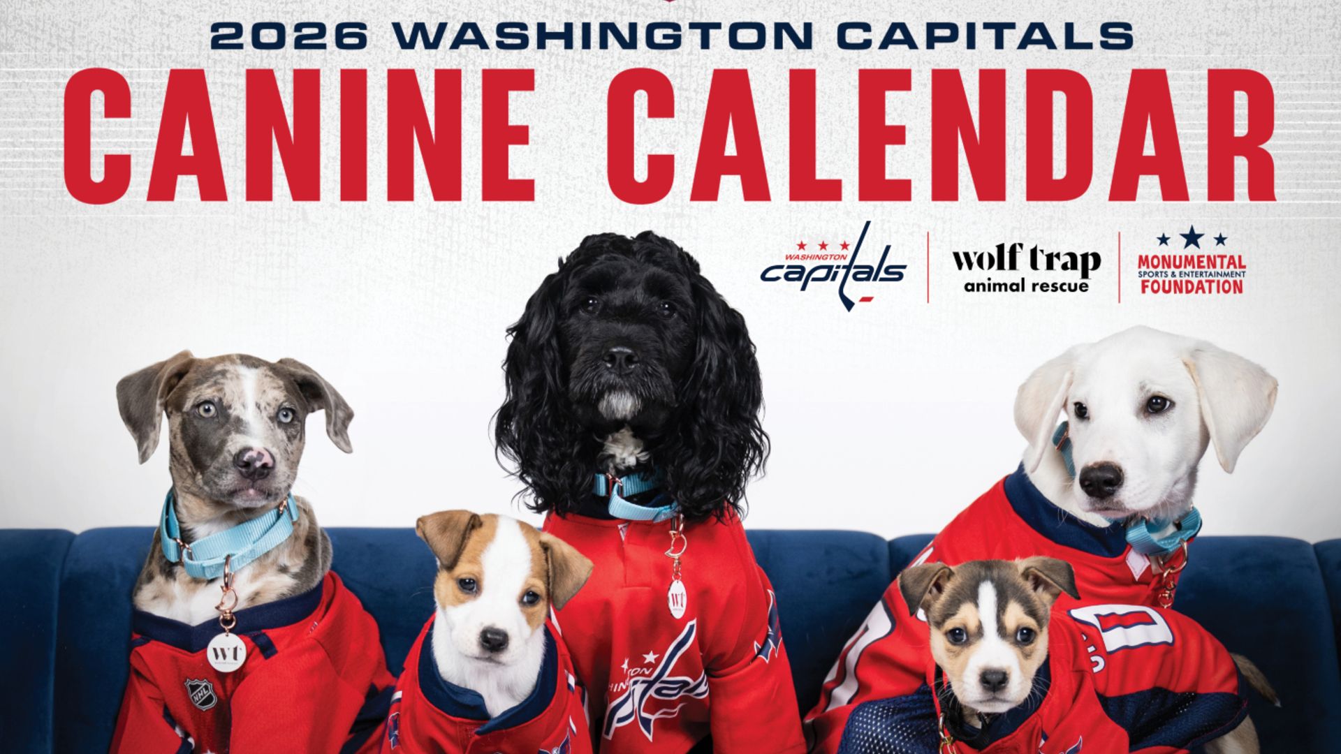 2026 Caps' Canine Calendar available for purchase
